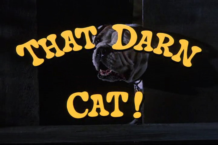 That Darn Cat! (1965) - Animation Screencaps.com
